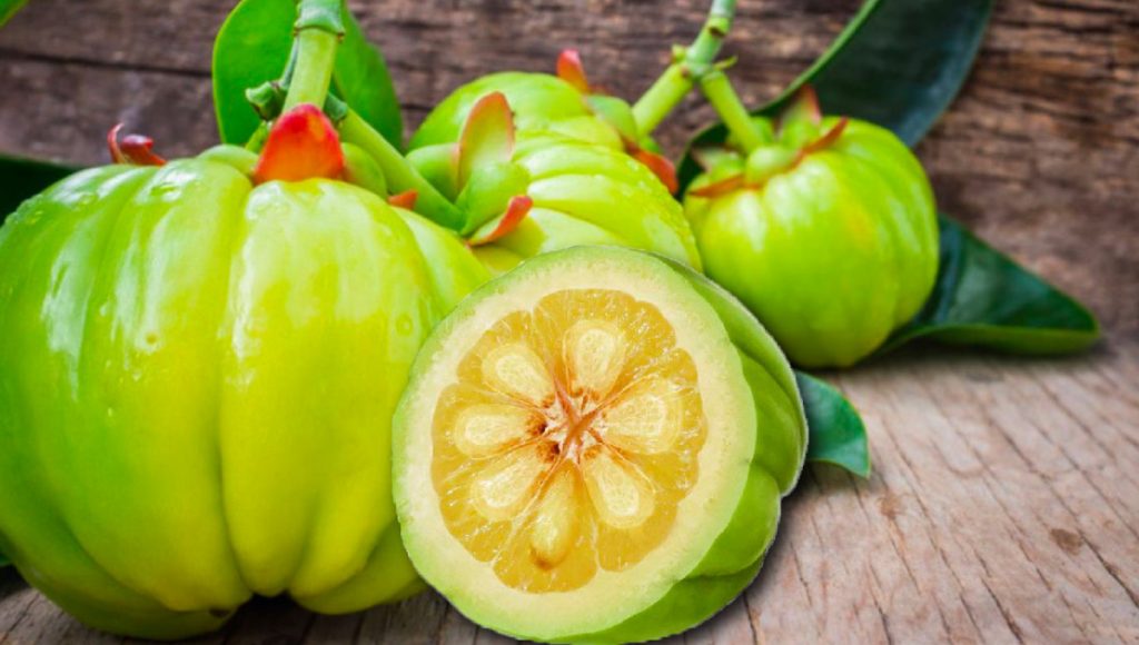 Que es la Garcinia cambogia y para que sirve